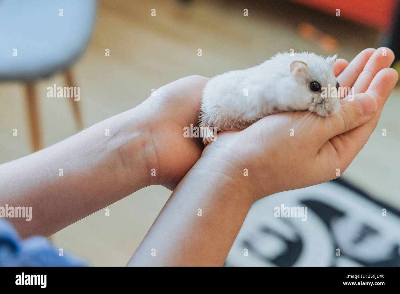 This photo captures the calm connection between a child and her furry ...