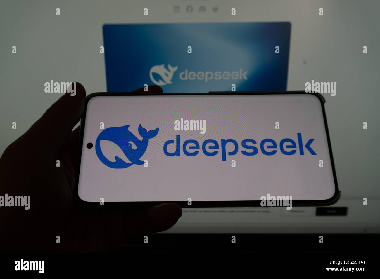 The LOGO and homepage of DeepSeek, a Chinese AI large-scale model ...