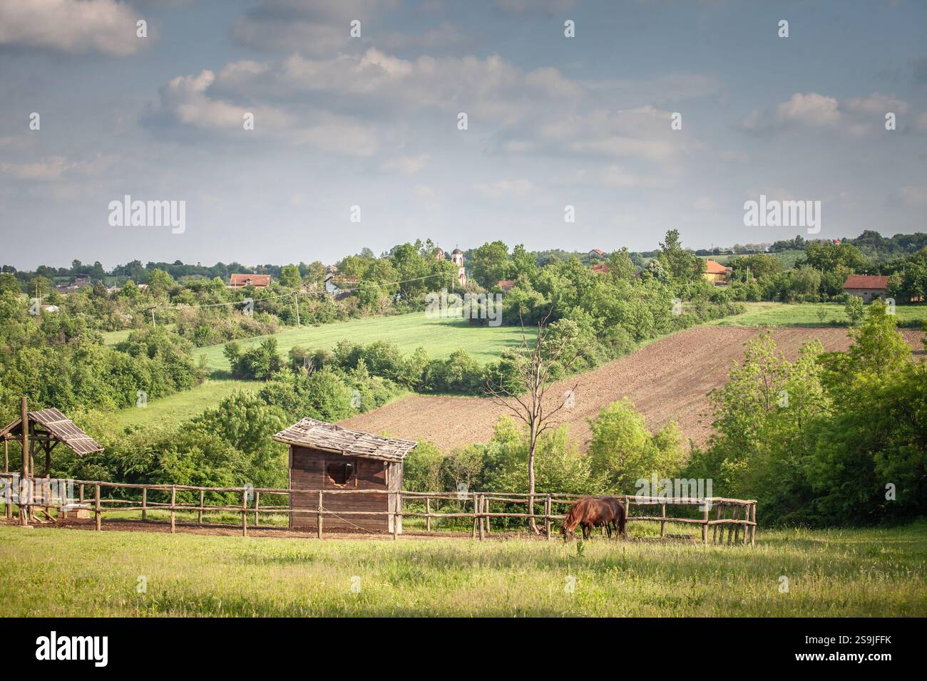 Panorama of stables with horse grazing set within the rural landscape ...