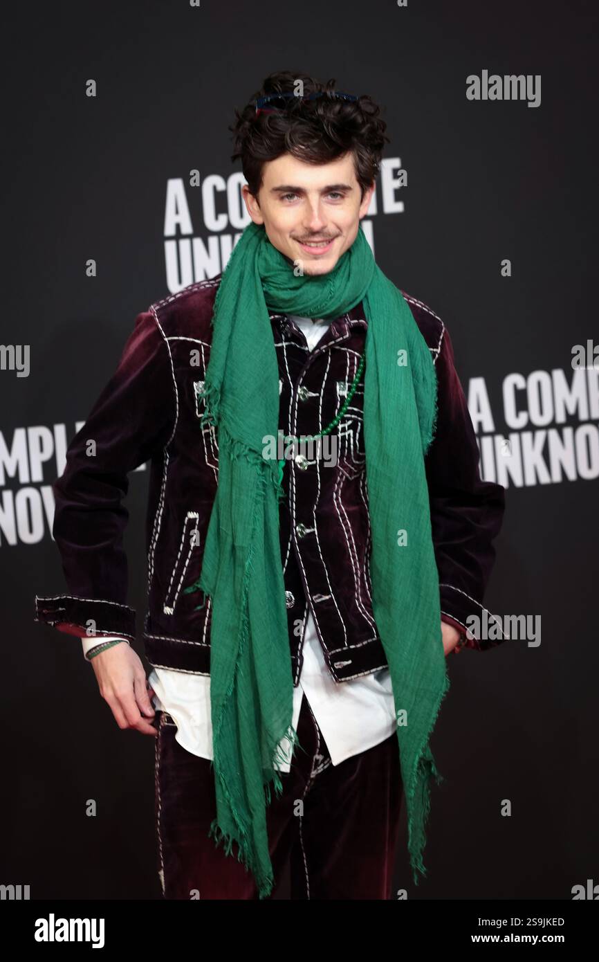 Actor Timothée Chalamet as Bob Dylan attends the Italian premiere of "A ...