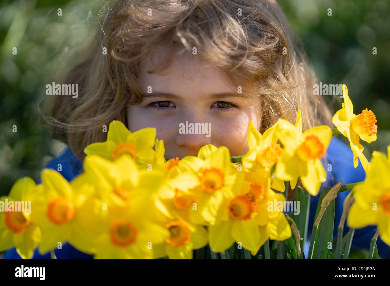 Spring narcissus and kid. Kid playing under blooming cherry tree. Child ...