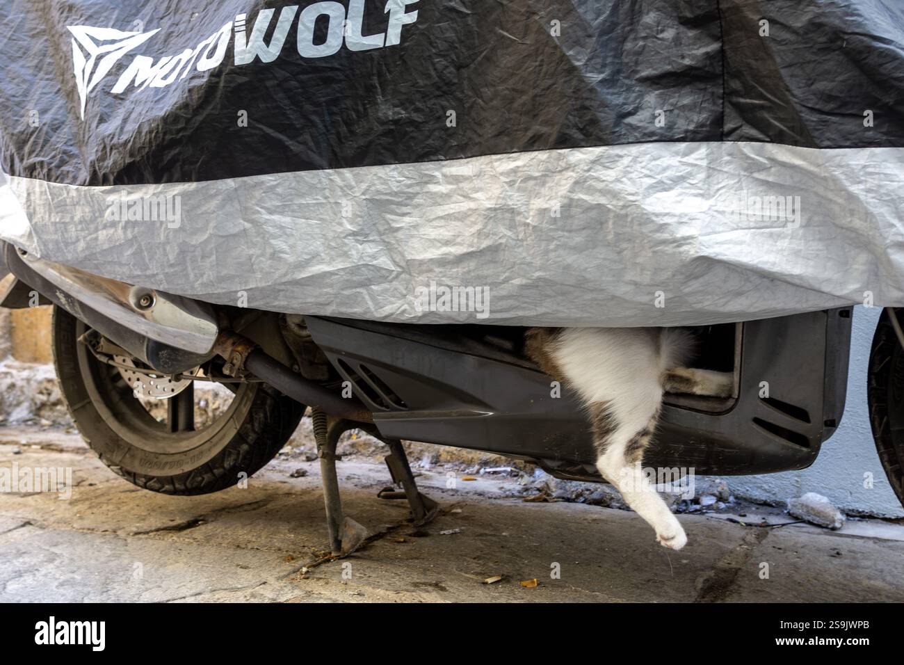 Motowolf hi-res stock photography and images - Alamy