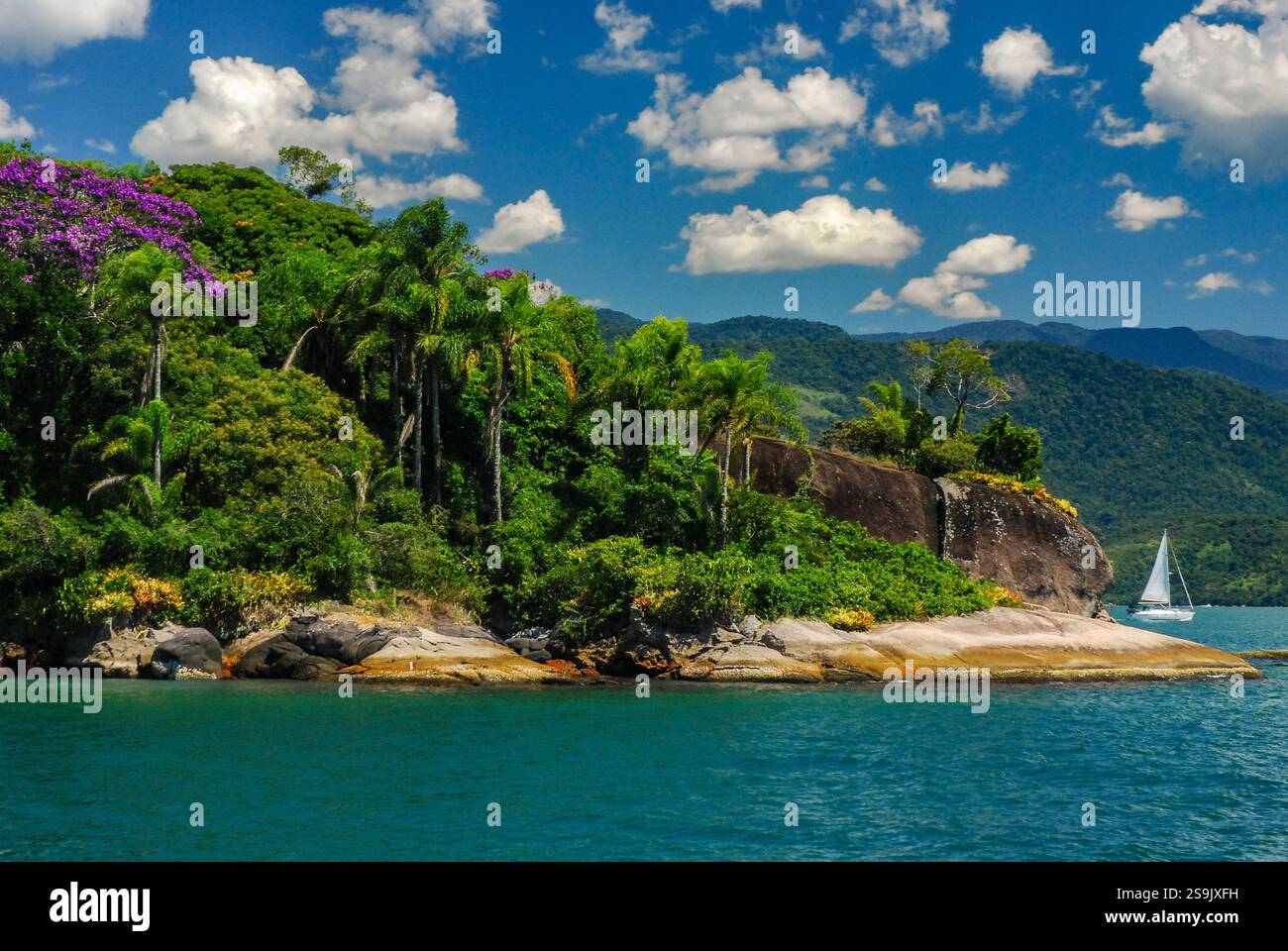 Beaches of the green coast of the state of Rio de Janeiro, Brazil Stock ...