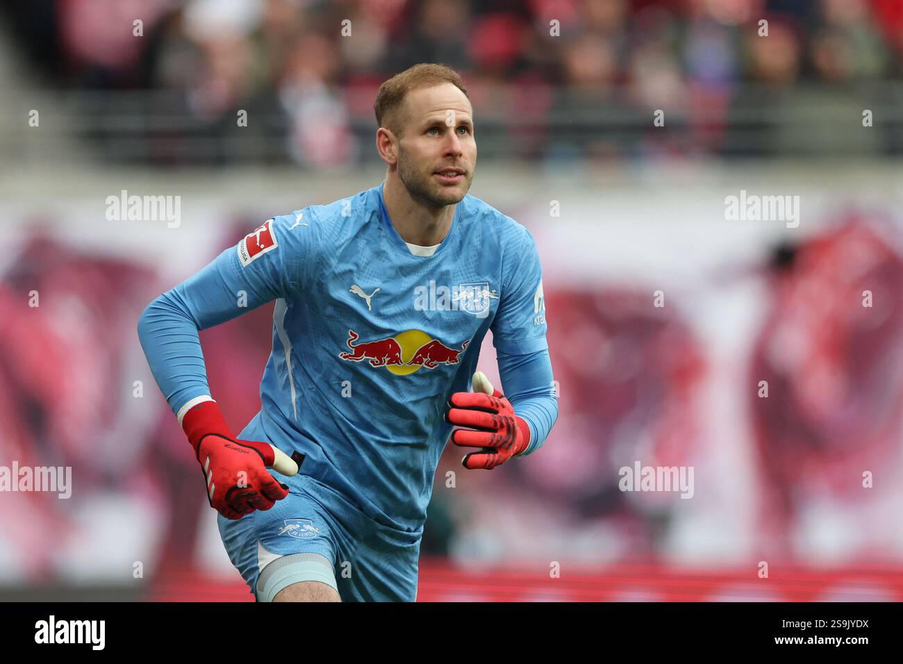 Leipzig, Germany. 25th Jan, 2025. Peter Gulacsi of RB Leipzig seen ...