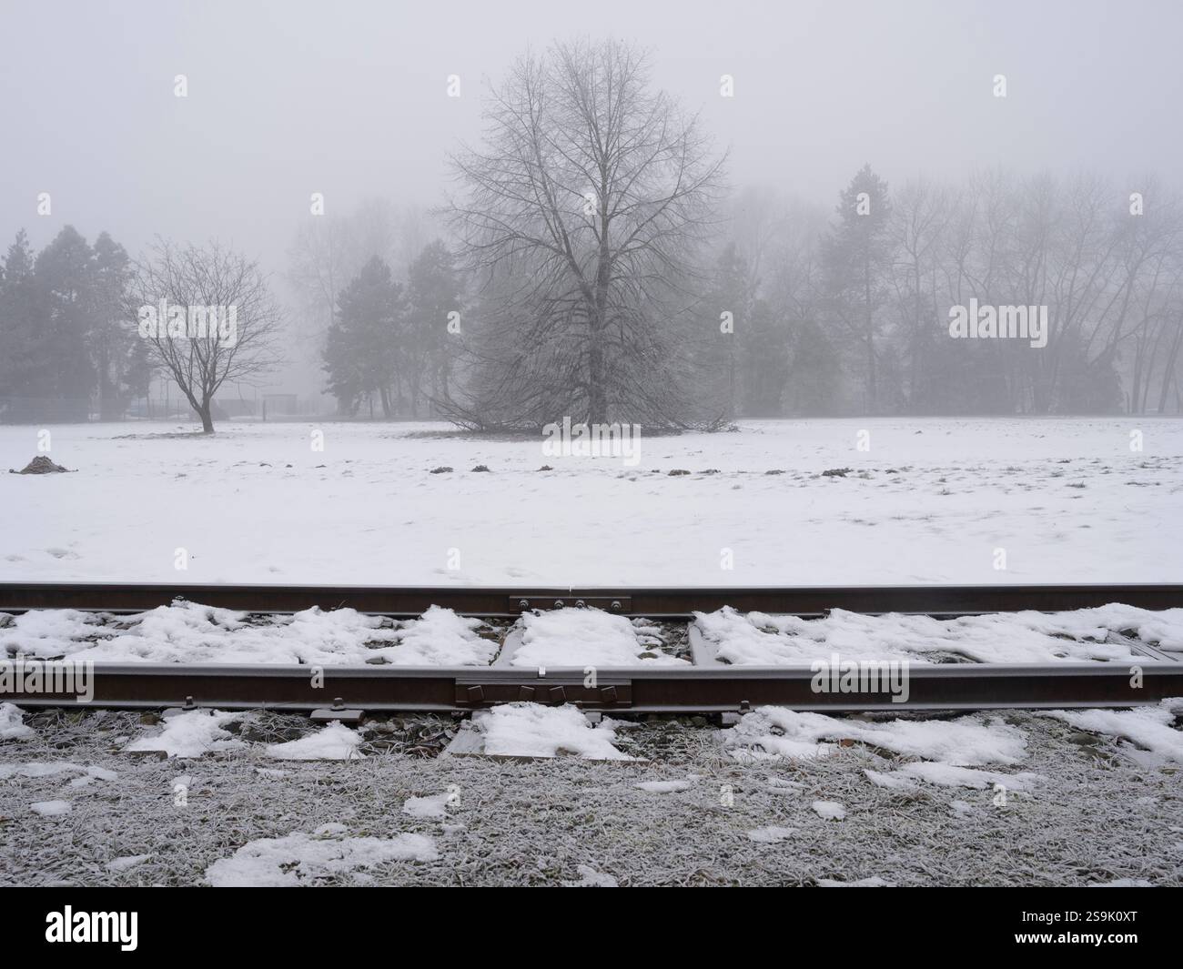 Snow blankets railroad tracks once used to transport Jews and others ...