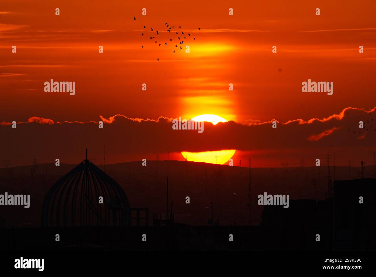 Mosul, Iraq. 25th Jan, 2025. Birds fly during sunset in the sky of the ...