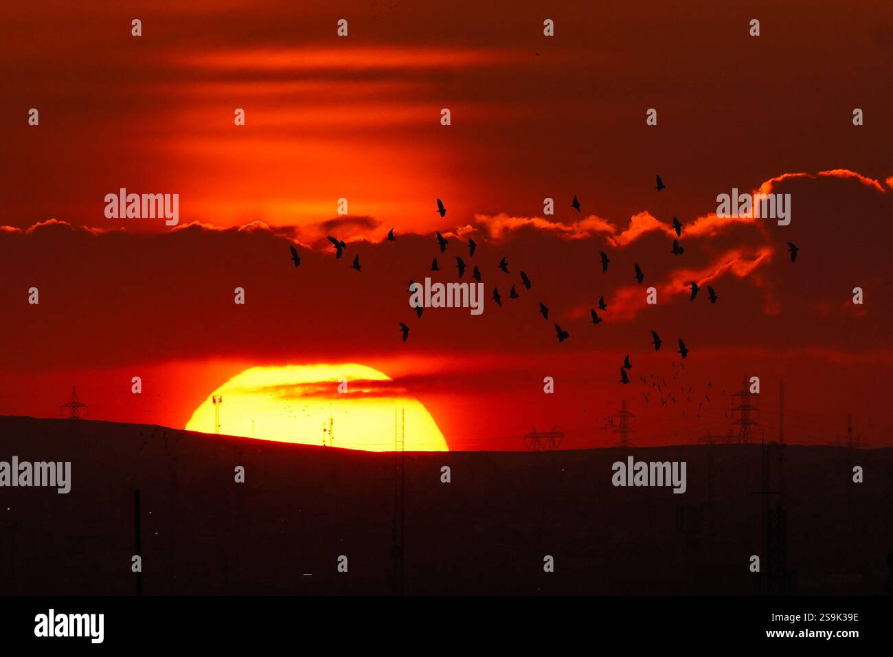 Birds fly during sunset in the sky of the city of Mosul, northern Iraq ...