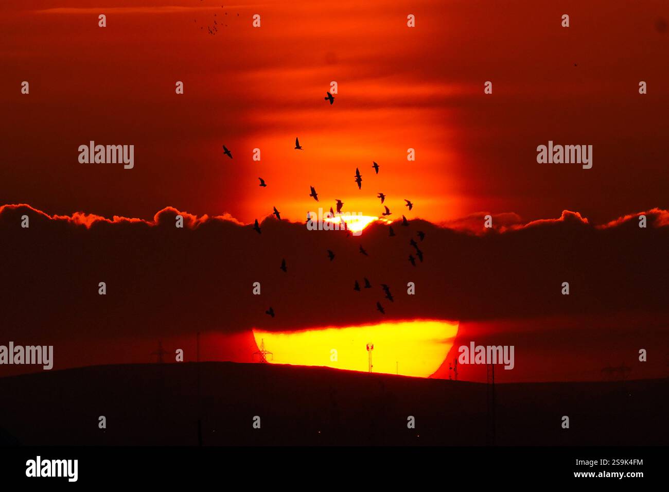 Mosul, Iraq. 25th Jan, 2025. Birds fly during sunset in the sky of the ...