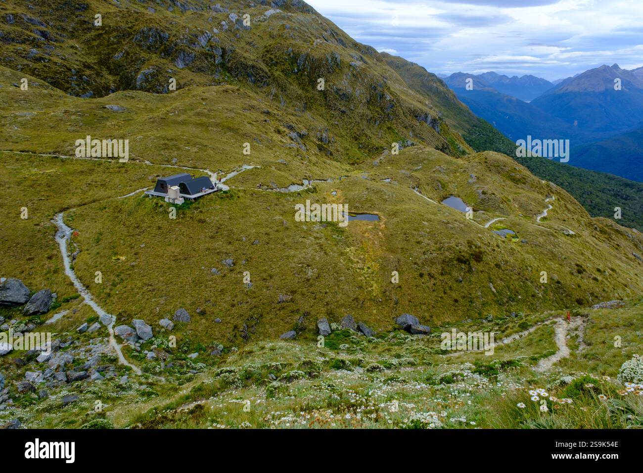 View of Harris Saddle and Tarahaka Whakatipu Shelter, Routeburn Track ...