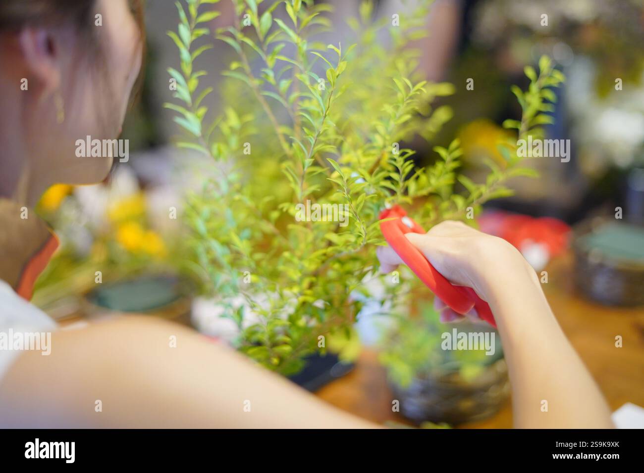 Flower arrangement class Stock Photo - Alamy