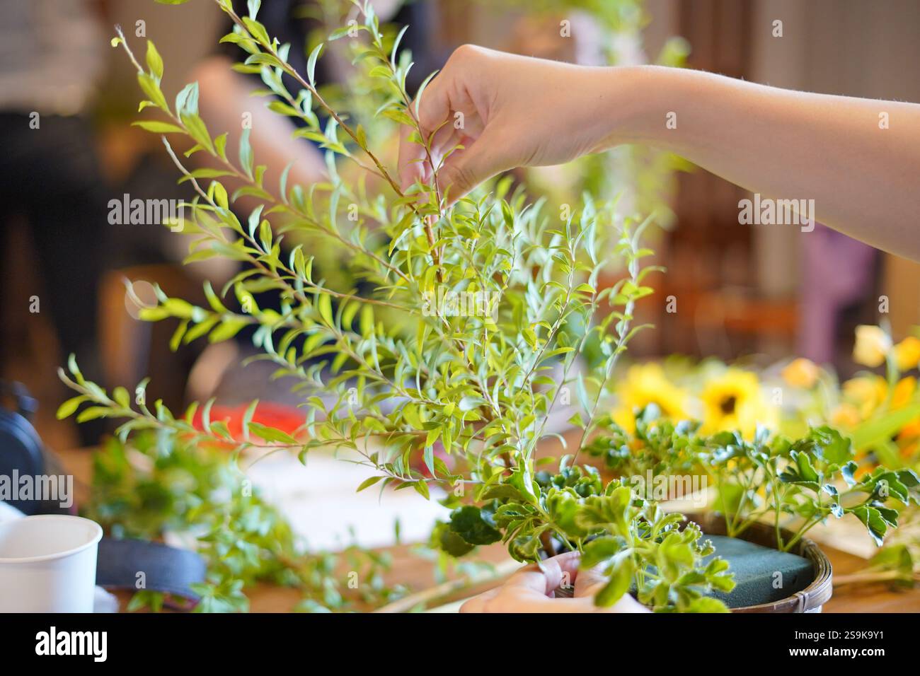 Flower arrangement class Stock Photo - Alamy