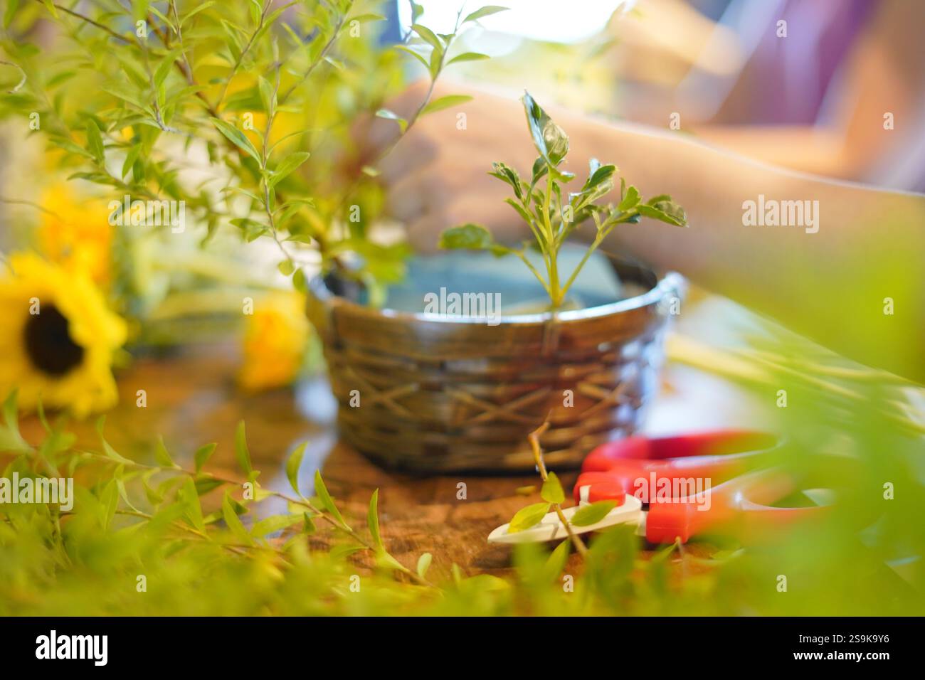 Flower arrangement class Stock Photo - Alamy