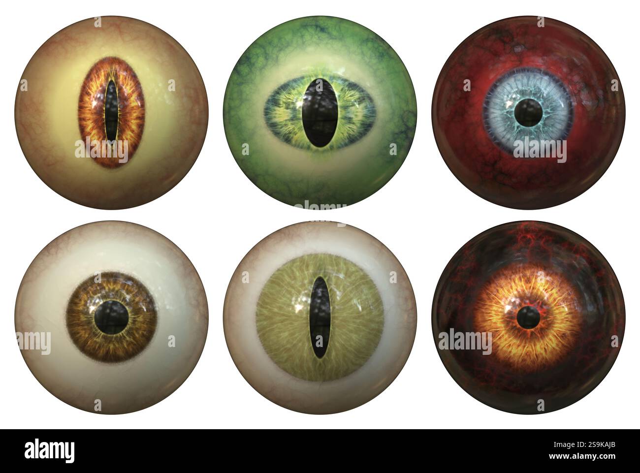 Illustration of several types of animal eyes. Creative graphic design ...