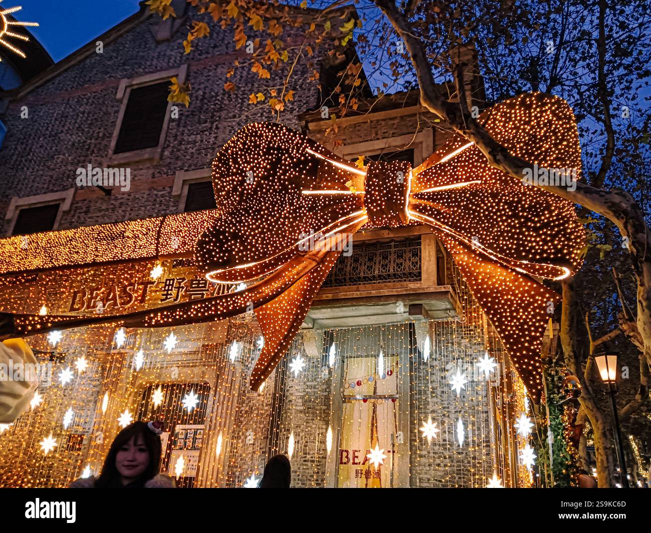 Shanghai, China - 16 December 2024. Winter Dreamland Theme Festive ...