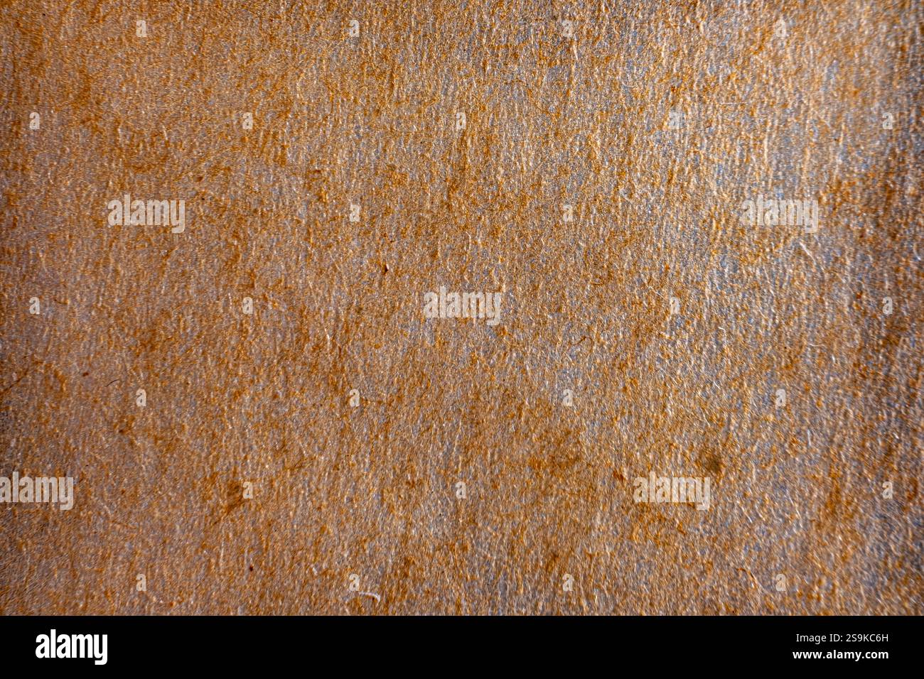 paper texture detail, macro view Stock Photo - Alamy