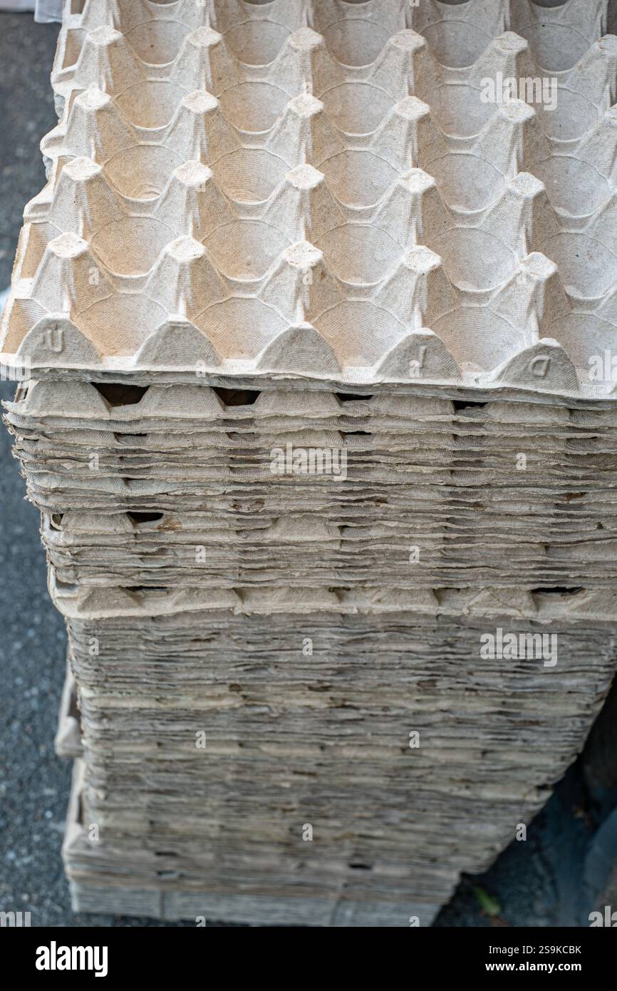 stack of chicken egg tray made from durable recycle paper material ...