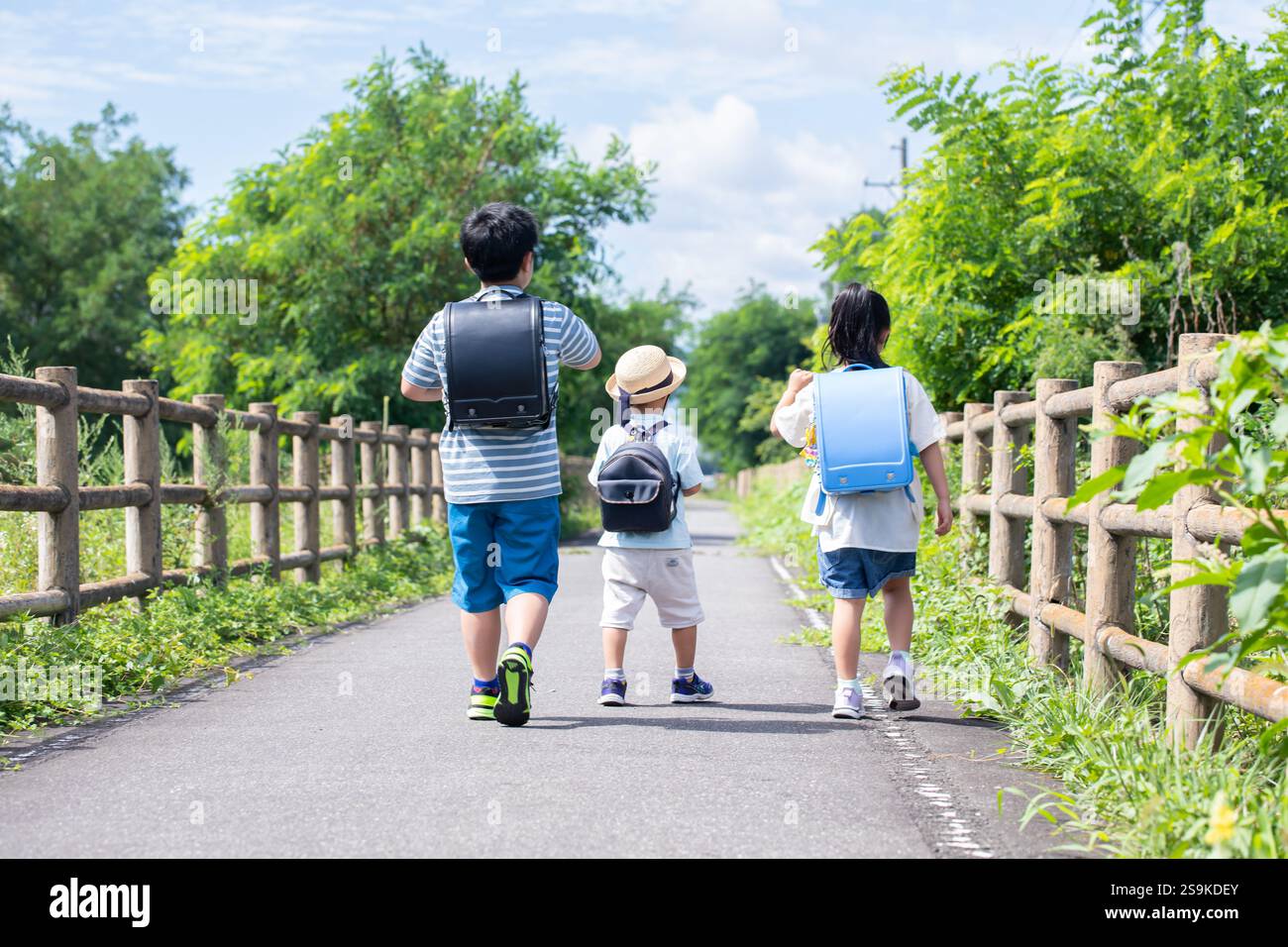 Primary school and kindergarten children, siblings and three siblings walking on the road Stock ...