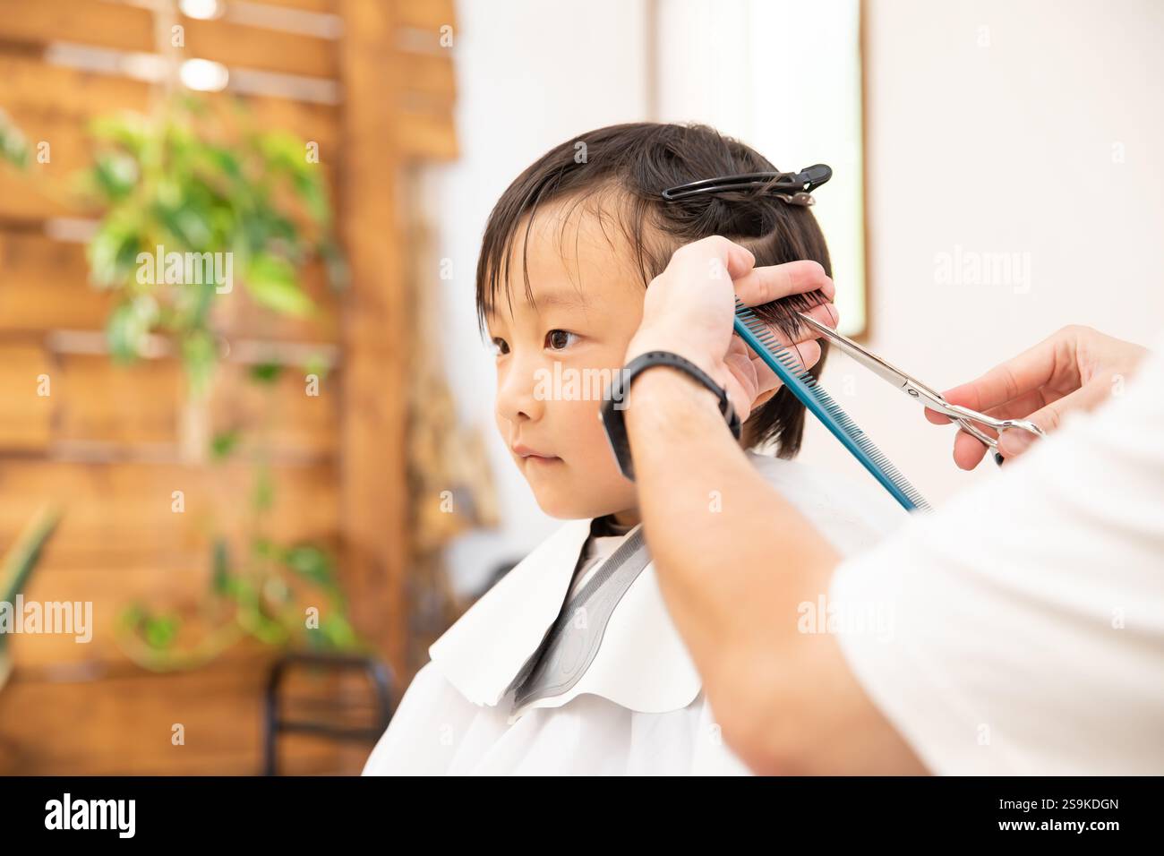 Boy getting haircut in beauty salon, haircut Stock Photo - Alamy
