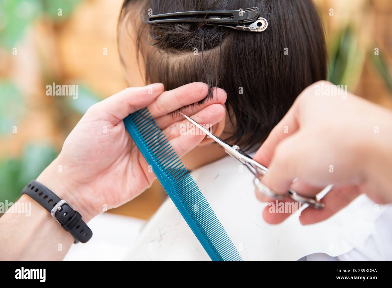 Boy getting haircut in beauty salon, haircut Stock Photo - Alamy