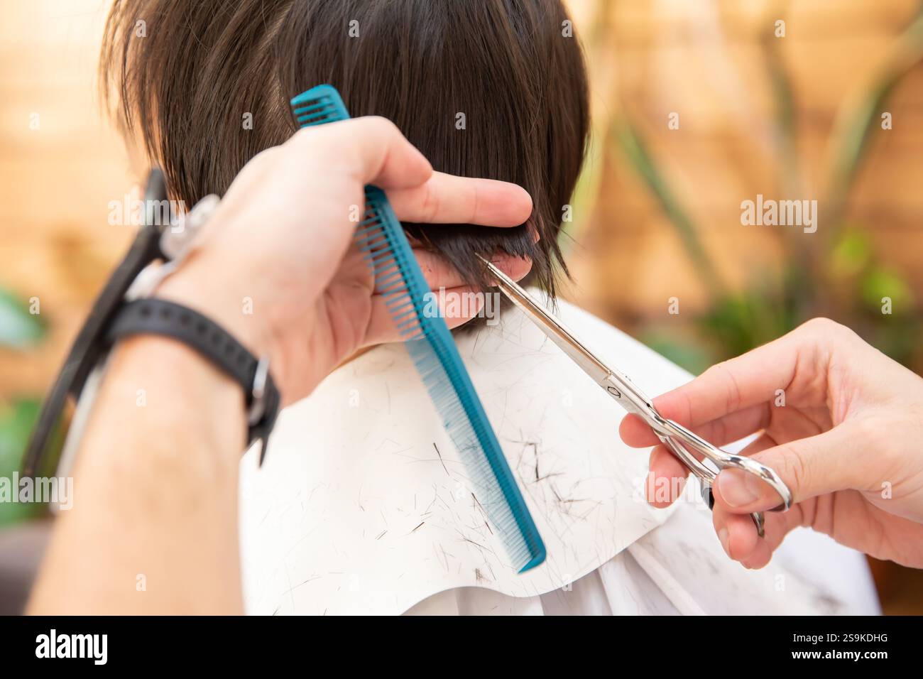 Hairdresser on hand giving haircuts to children Stock Photo - Alamy