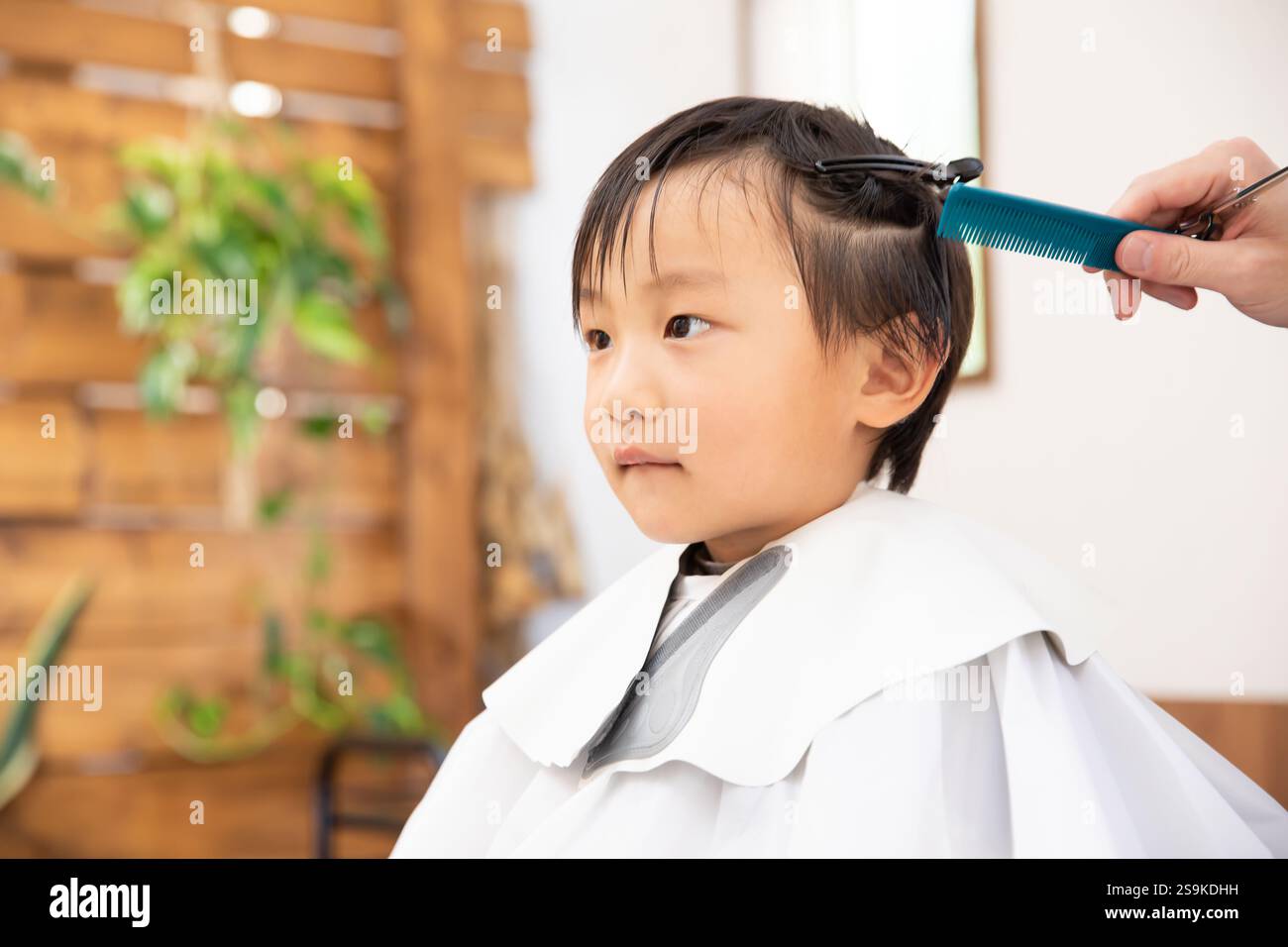 Boy getting haircut in beauty salon, haircut Stock Photo - Alamy