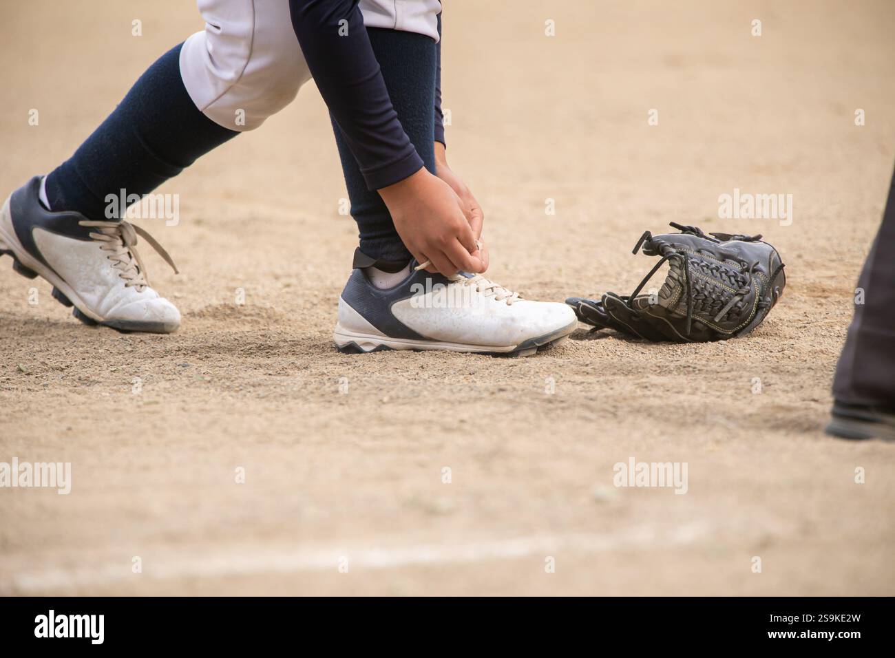 Tying spike shoelaces Baseball Stock Photo - Alamy