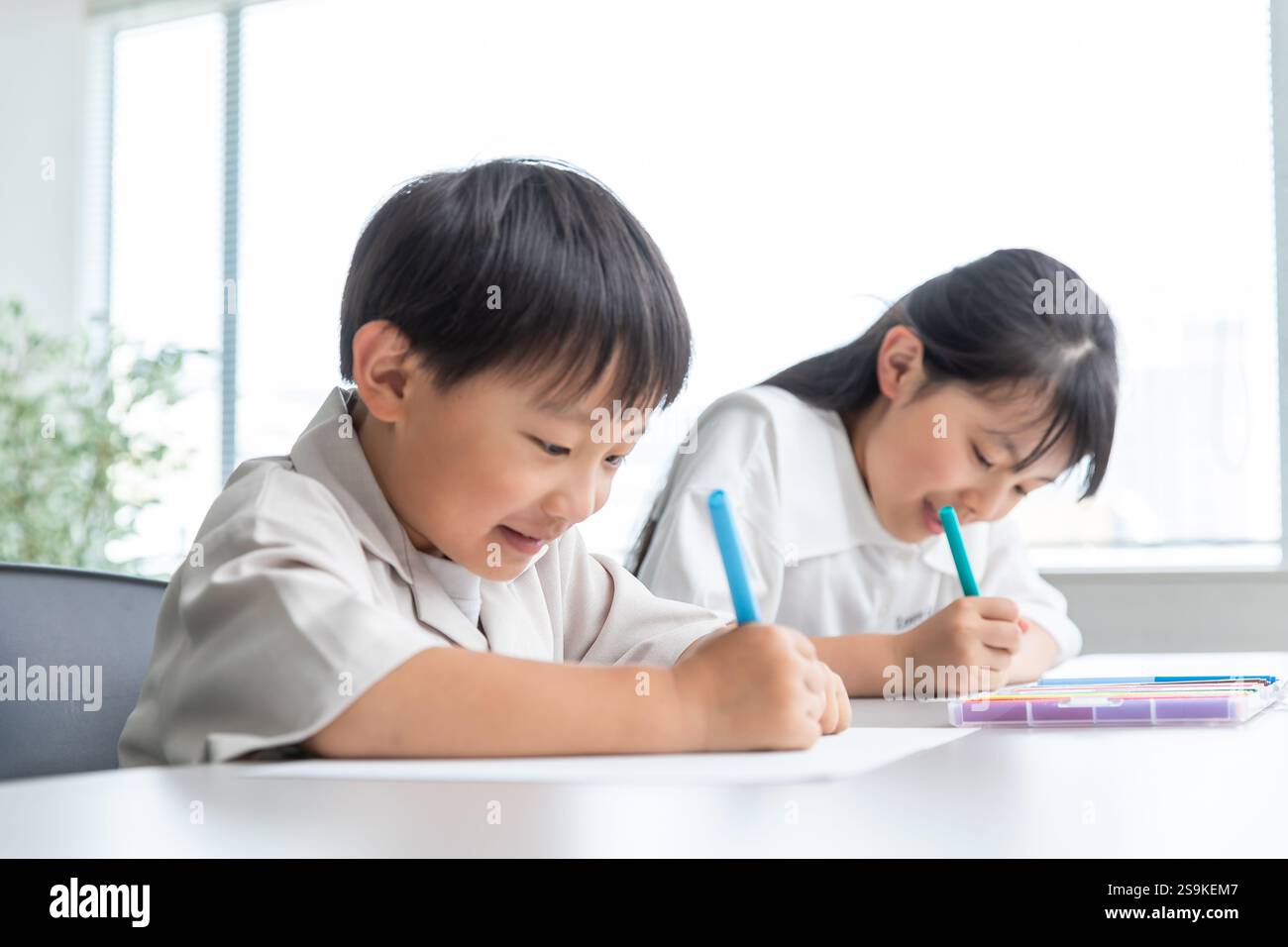 Primary schools student doing homework Stock Photo - Alamy