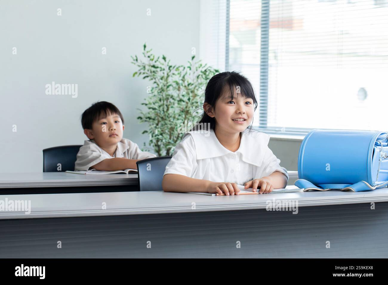 Primary school children studying at a tutoring school Stock Photo - Alamy