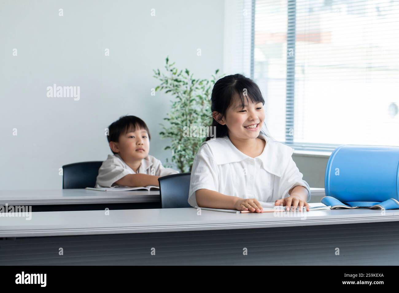 Primary schools students studying in a classroom Stock Photo - Alamy