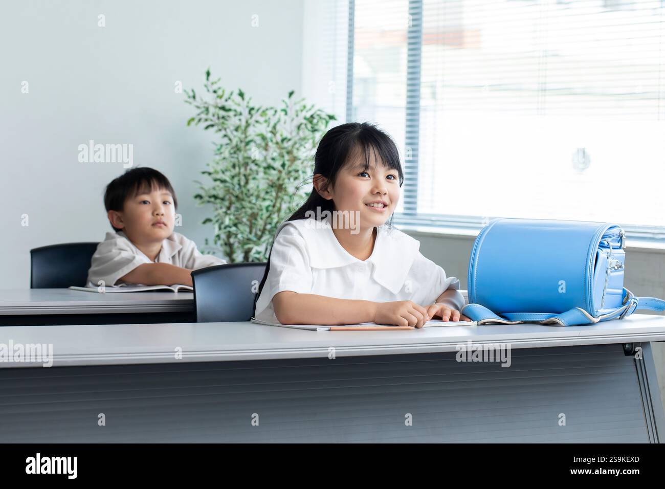 Primary schools students studying in a classroom Stock Photo - Alamy