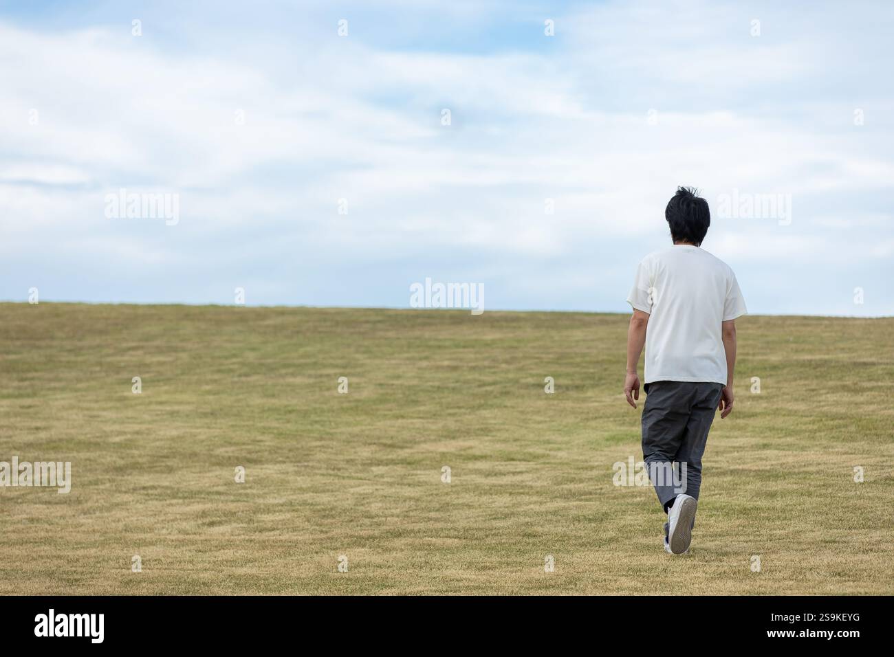 Back view of man walking on lawn Stock Photo - Alamy