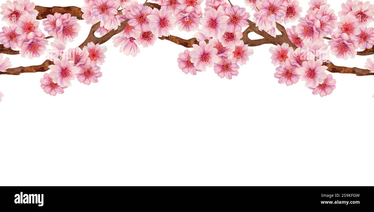 Horizontal frame of branches with pink cherry blossoms in honor of the ...