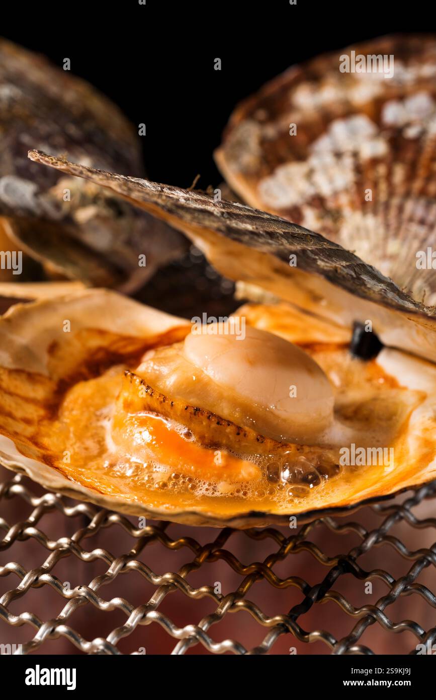 Char-grilled scallops with shells Stock Photo - Alamy