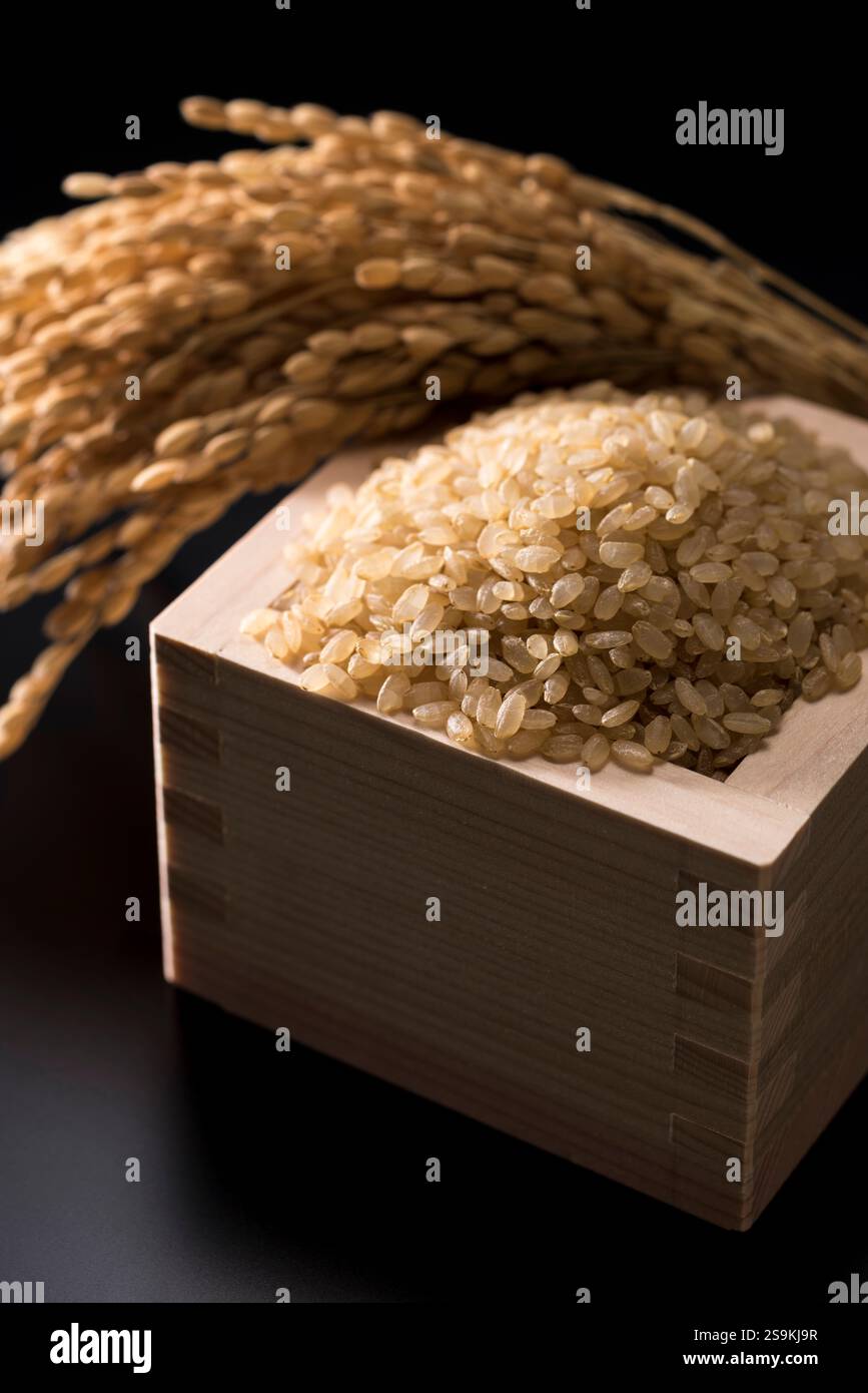 Ear of rice and rice Stock Photo - Alamy