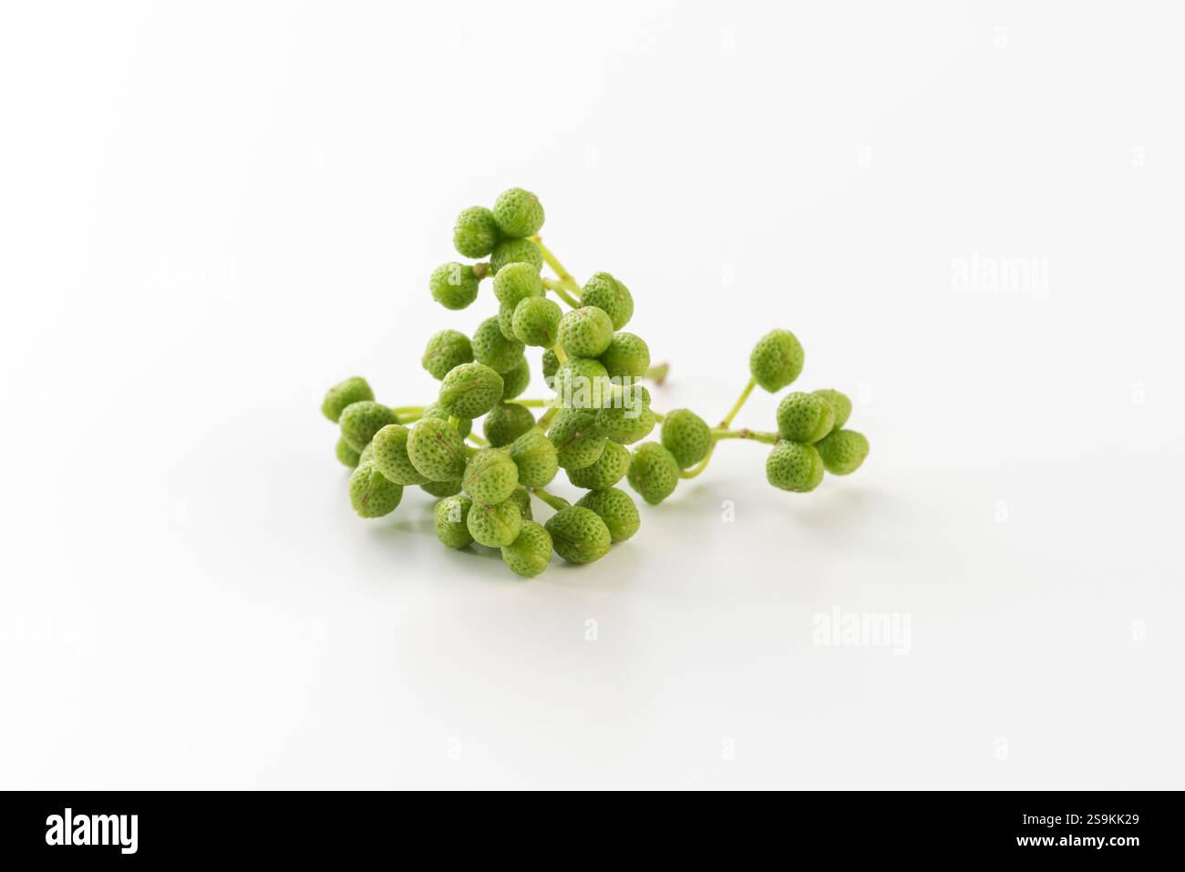 Sansho (Japanese pepper Stock Photo - Alamy