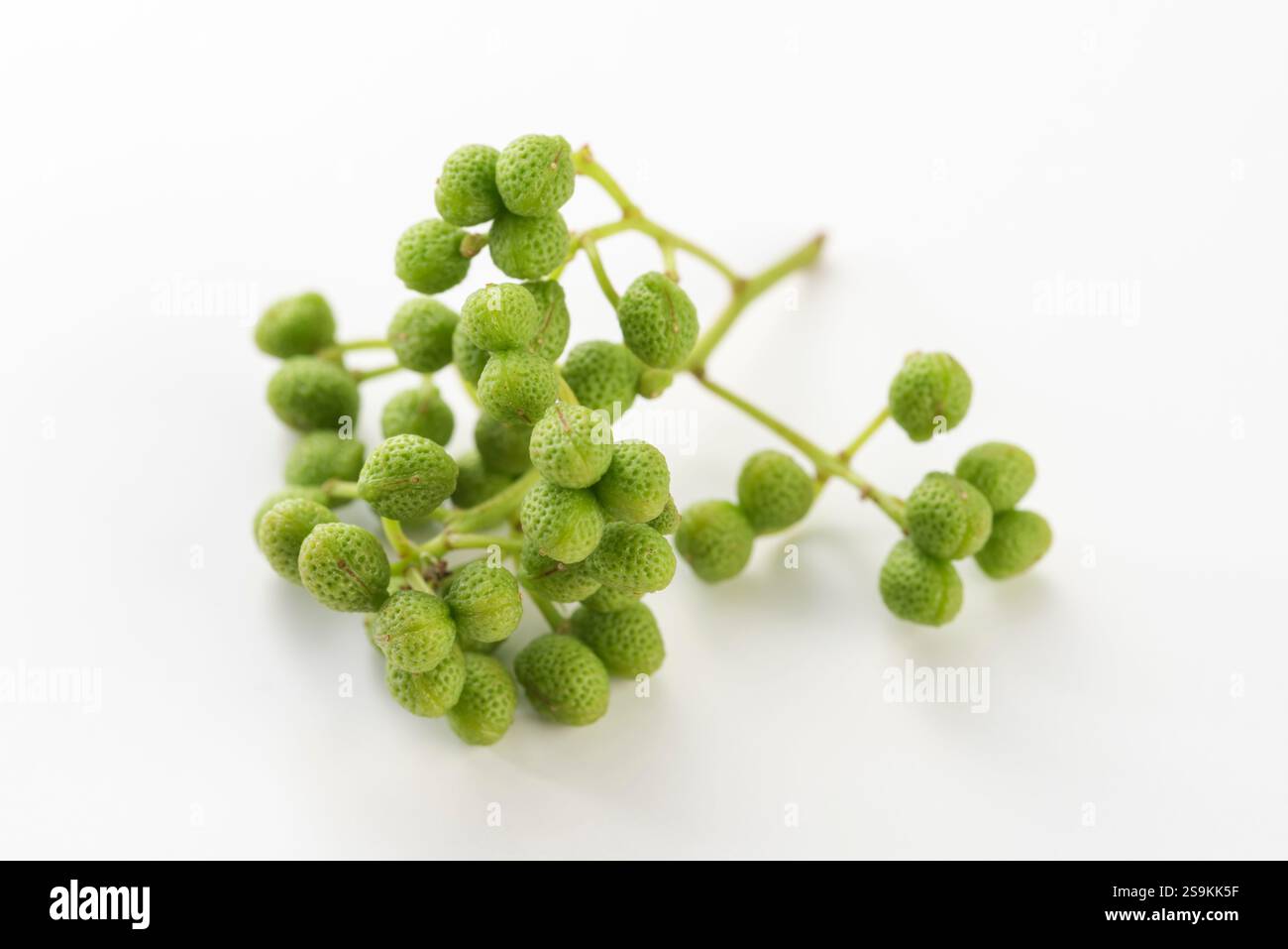 Sansho (Japanese pepper Stock Photo - Alamy