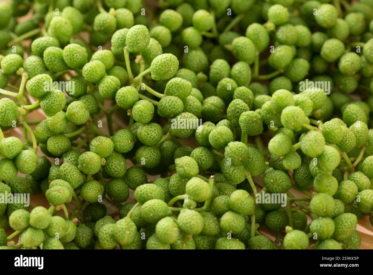 Sansho (Japanese pepper Stock Photo - Alamy