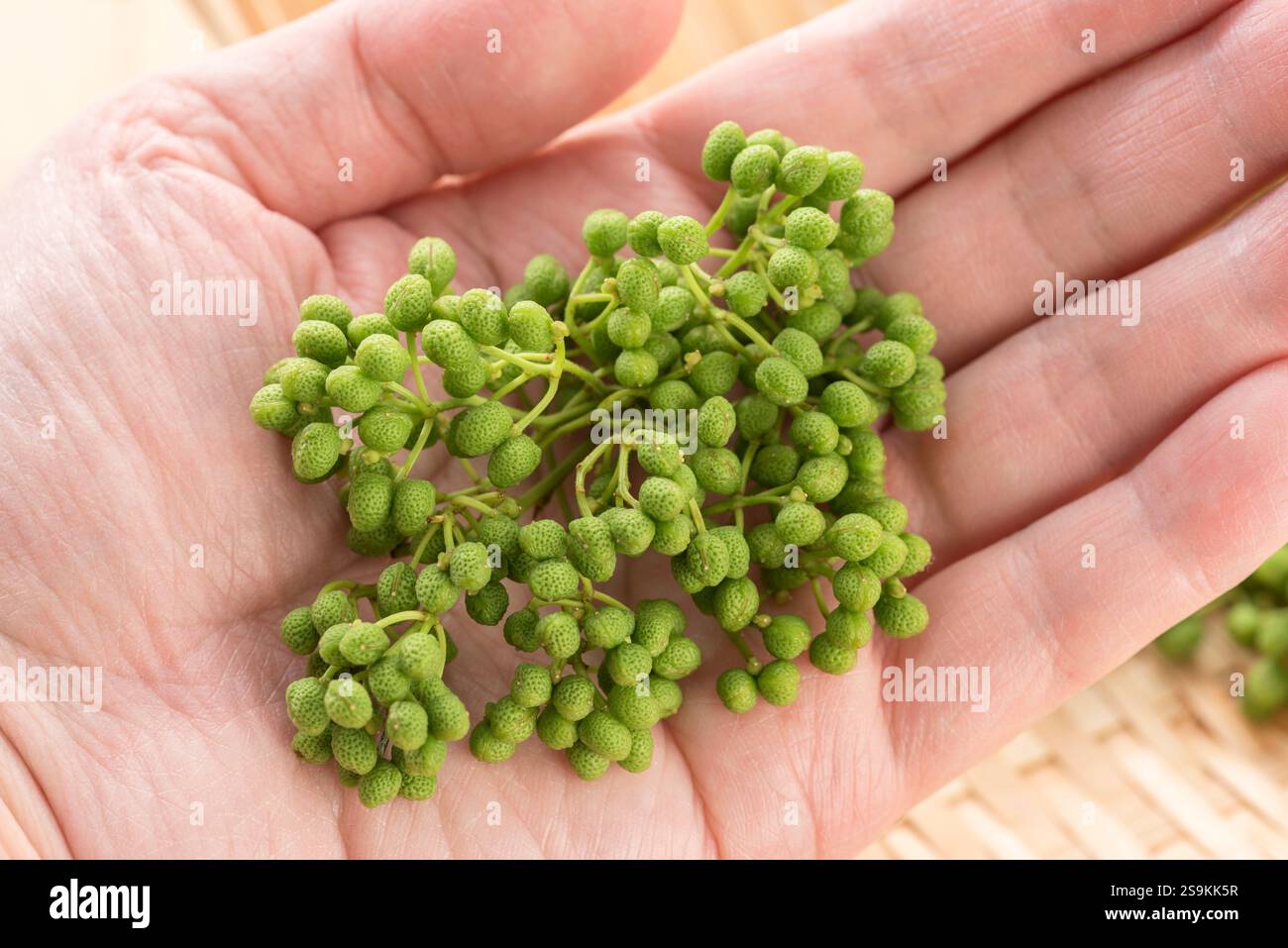 Sansho (Japanese pepper Stock Photo - Alamy