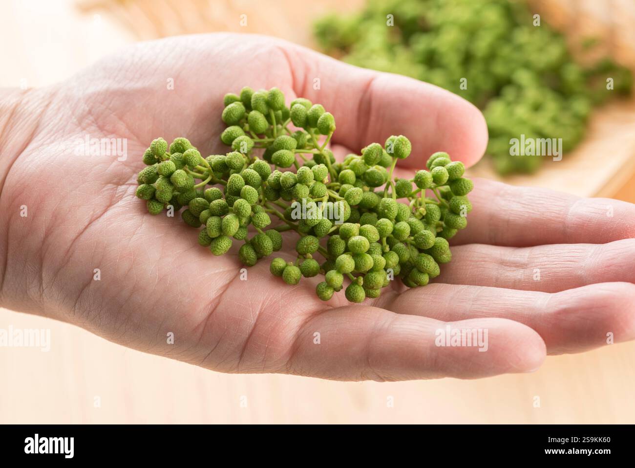 Sansho (Japanese pepper Stock Photo - Alamy