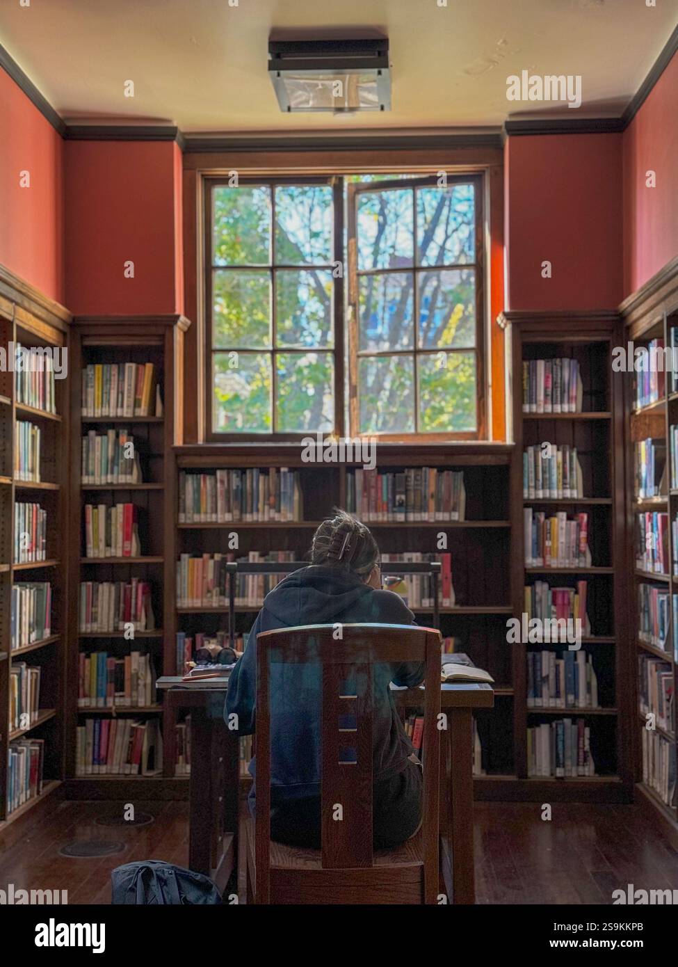 Interior of the Claremont Branch of the Berkeley Public Library in Berkeley, California Stock ...