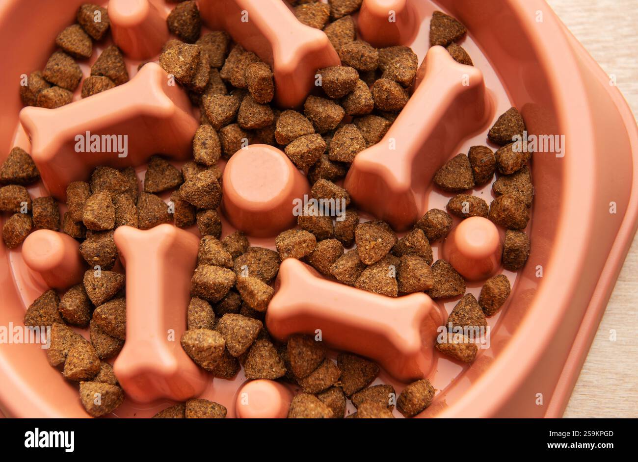 Dry dog food sits in a slow feeder bowl, designed to prevent gulping ...