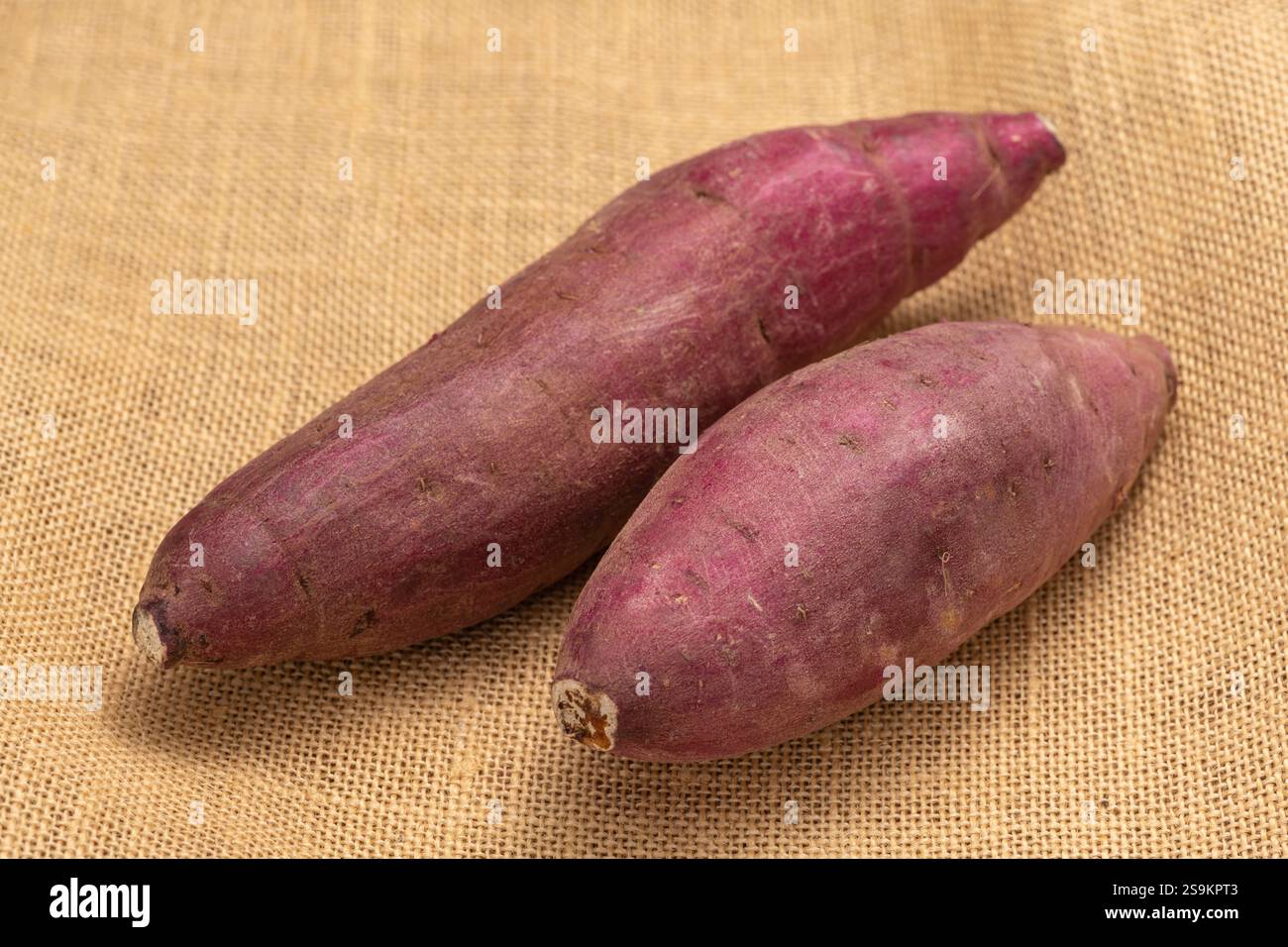 Sweet potato Kansho , autumn food Stock Photo - Alamy