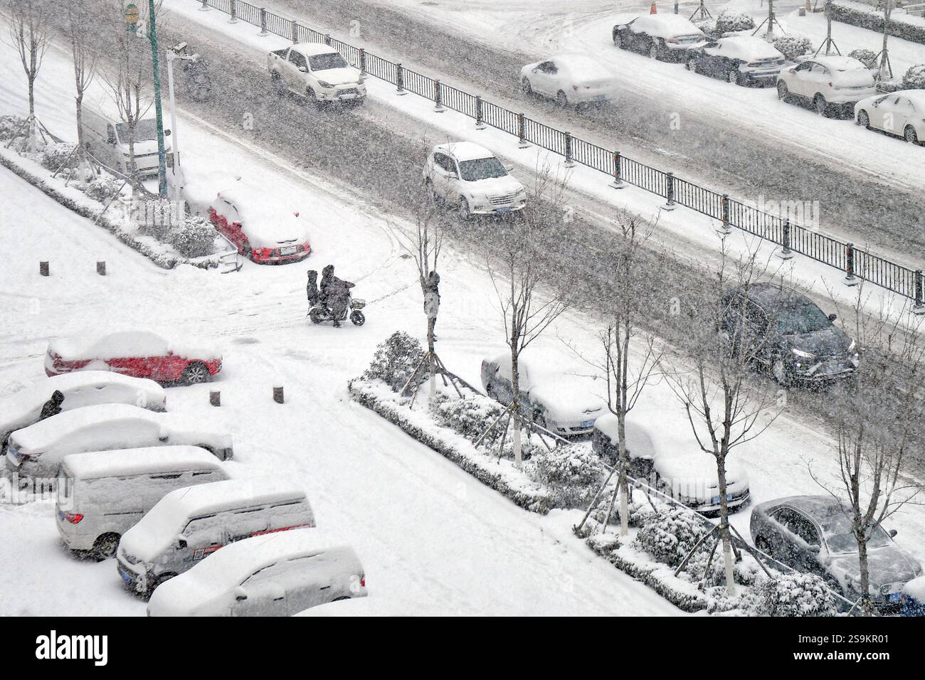 Yantai, China. 27th Jan, 2025. YANTAI, CHINA - JANUARY 27, 2025 ...