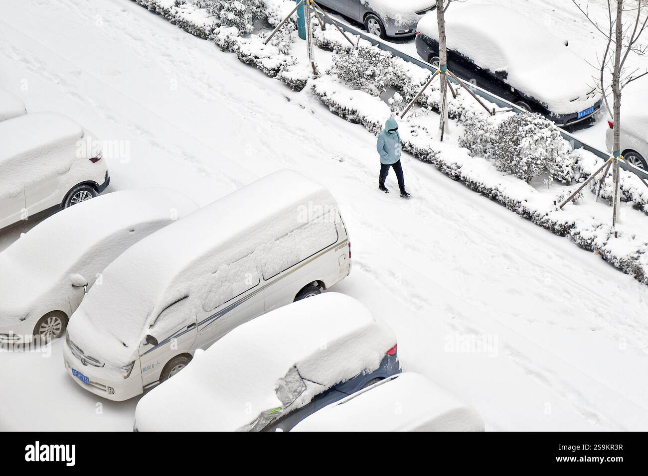 Yantai, China. 27th Jan, 2025. YANTAI, CHINA - JANUARY 27, 2025 ...