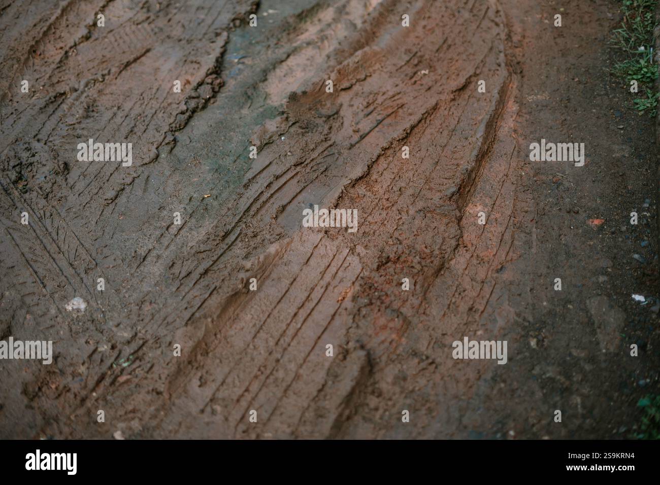 Tire tracks imprinted on a wet, muddy surface Stock Photo - Alamy