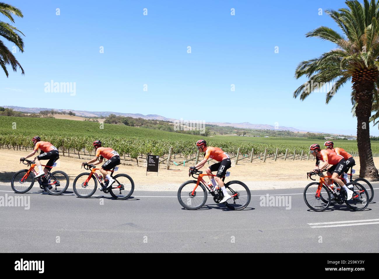 Ineos Grenadiers cycling team negotiate a turn during stage 2 of the ...