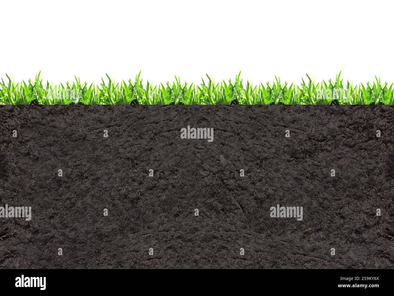 Environmental and conservation protection background. Cross section of ...