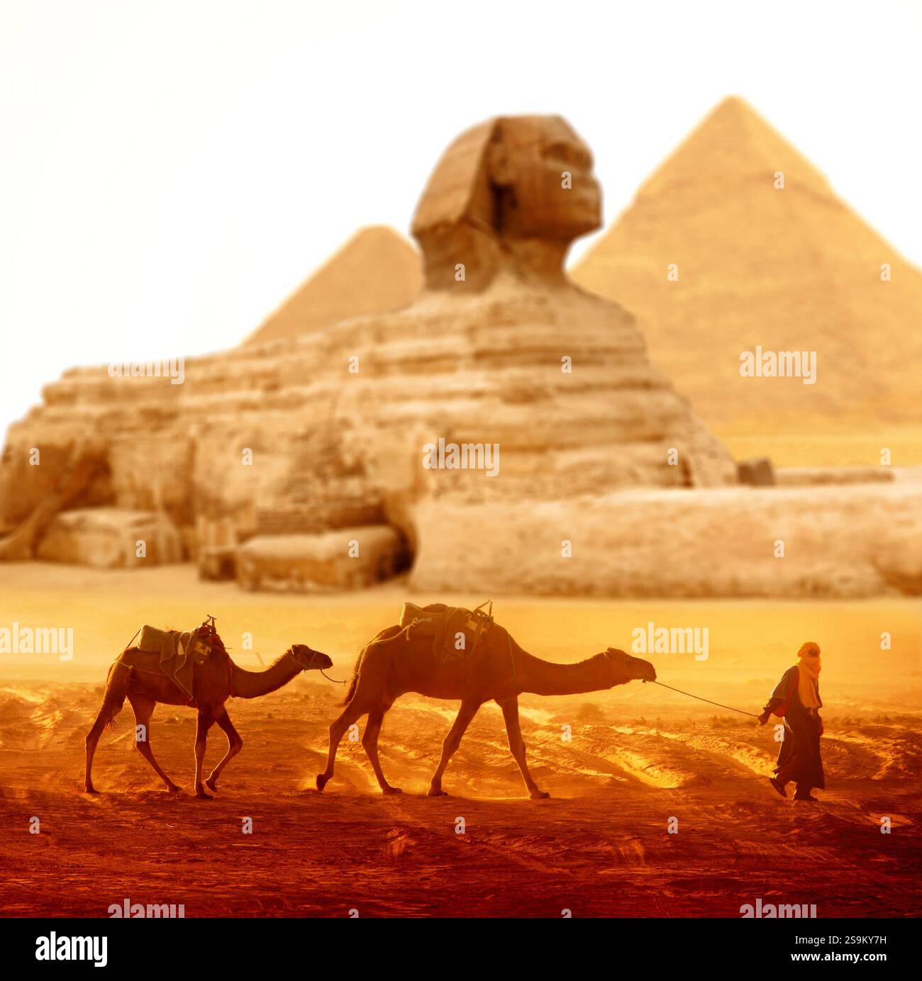Caravan of camels, Great Sphinx and Pyramids of Chephren and Cheops ...