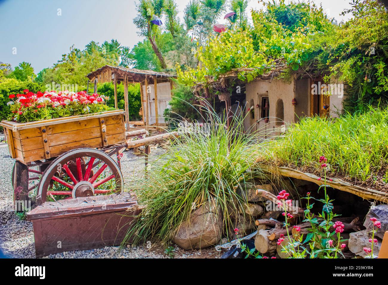 This is flower garden. That is a best place to see each flower from all ...