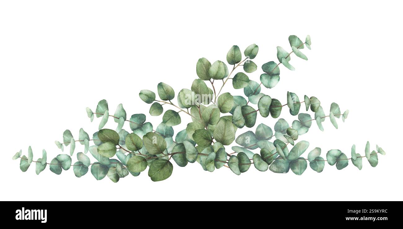 Eucalyptus plant bouquet. Greenery Watercolor triangular composition ...